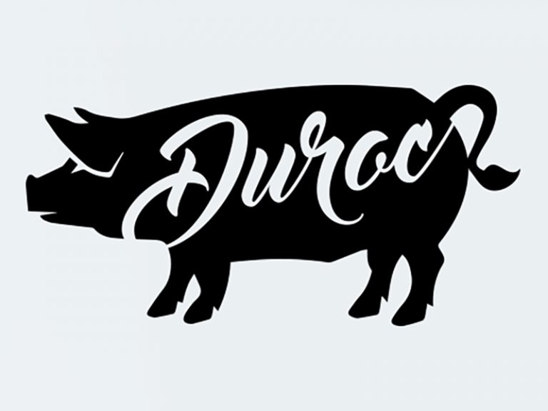 101 ý tưởng thiết kế logo con heo - Gudlogo