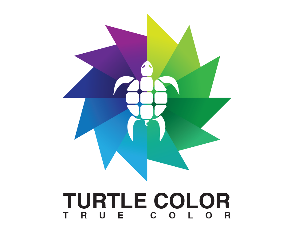 101 ý tưởng thiết kế logo con rùa - Gudlogo