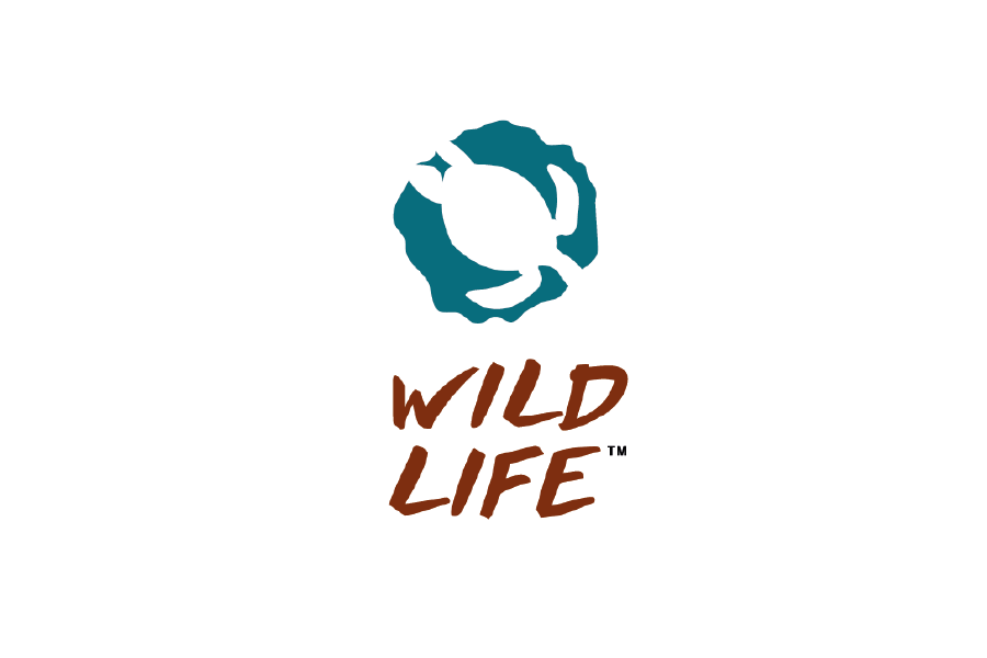 101 ý tưởng thiết kế logo con rùa - Gudlogo